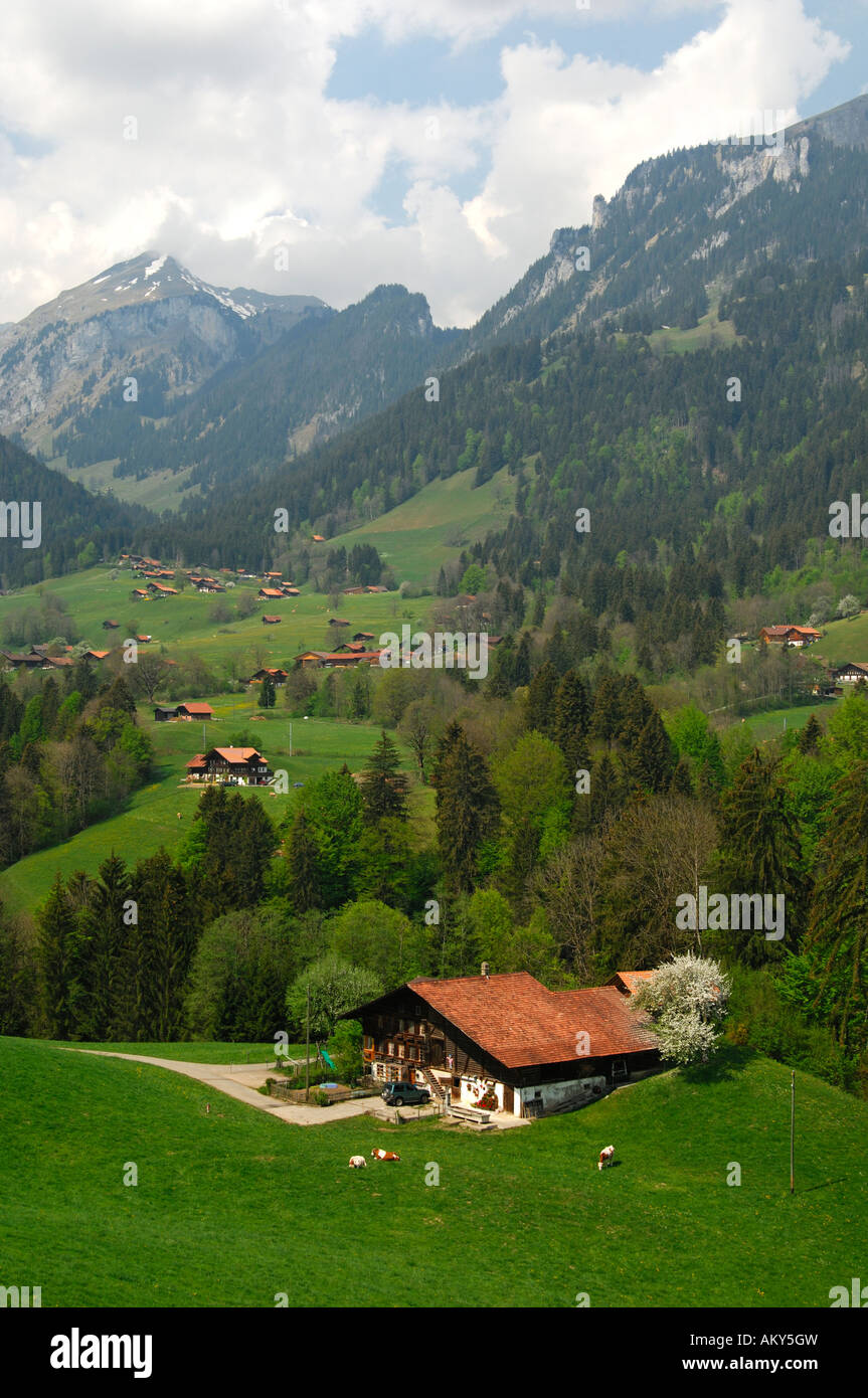 Pre-alpine landscape of the Simmental with Swiss farm yard, Switzerland ...