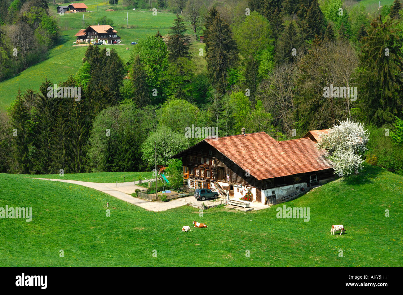 Simmental farm house, Daerstetten, Simmental, Switzerland Stock Photo ...