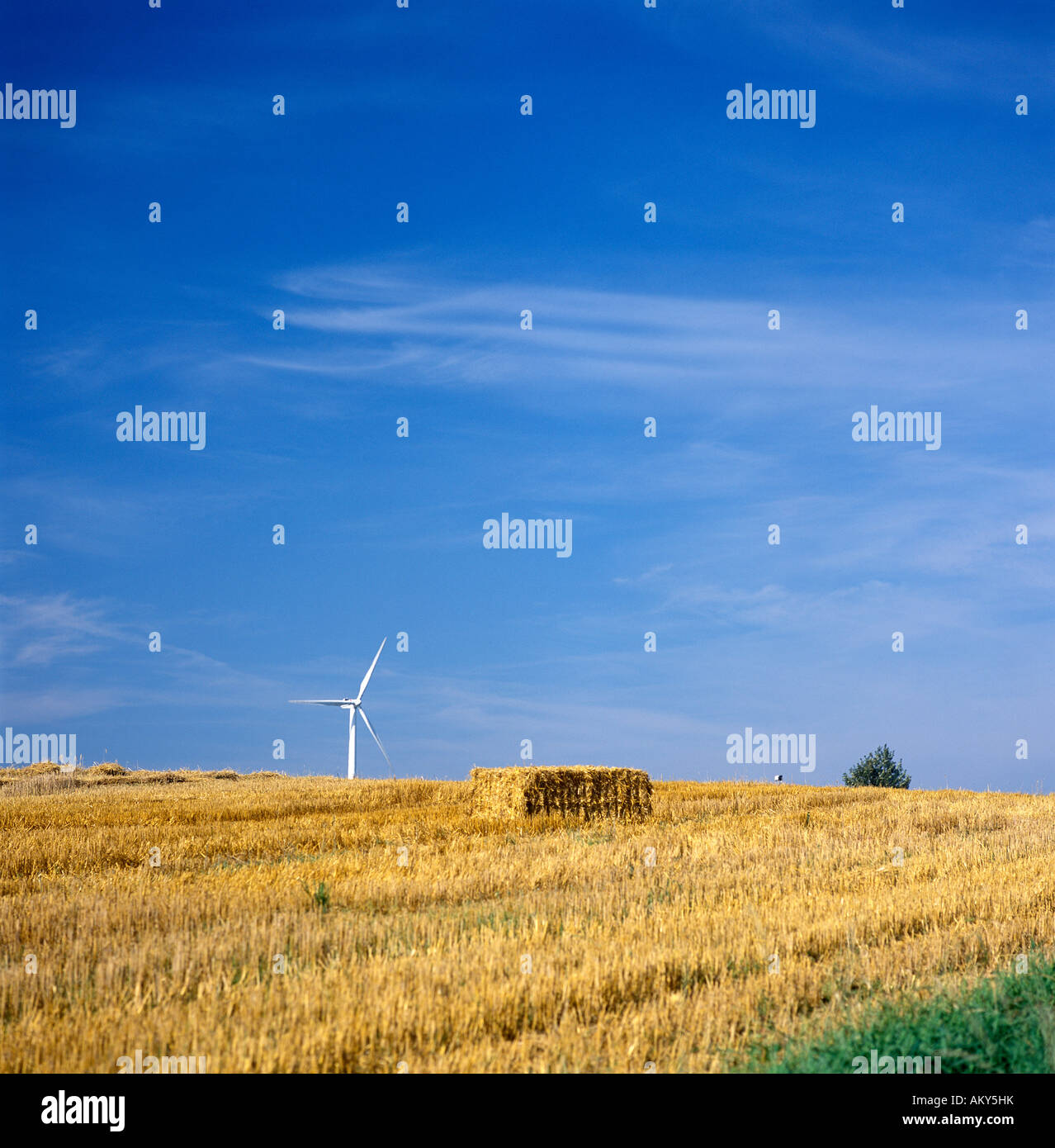 Grainfield wind not person not energy hi-res stock photography and ...