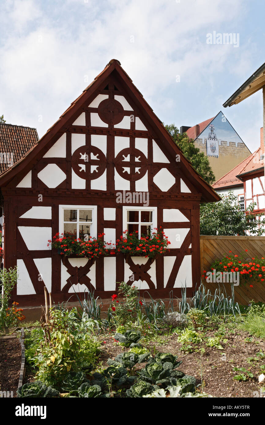 Tann rhoen hi-res stock photography and images - Alamy