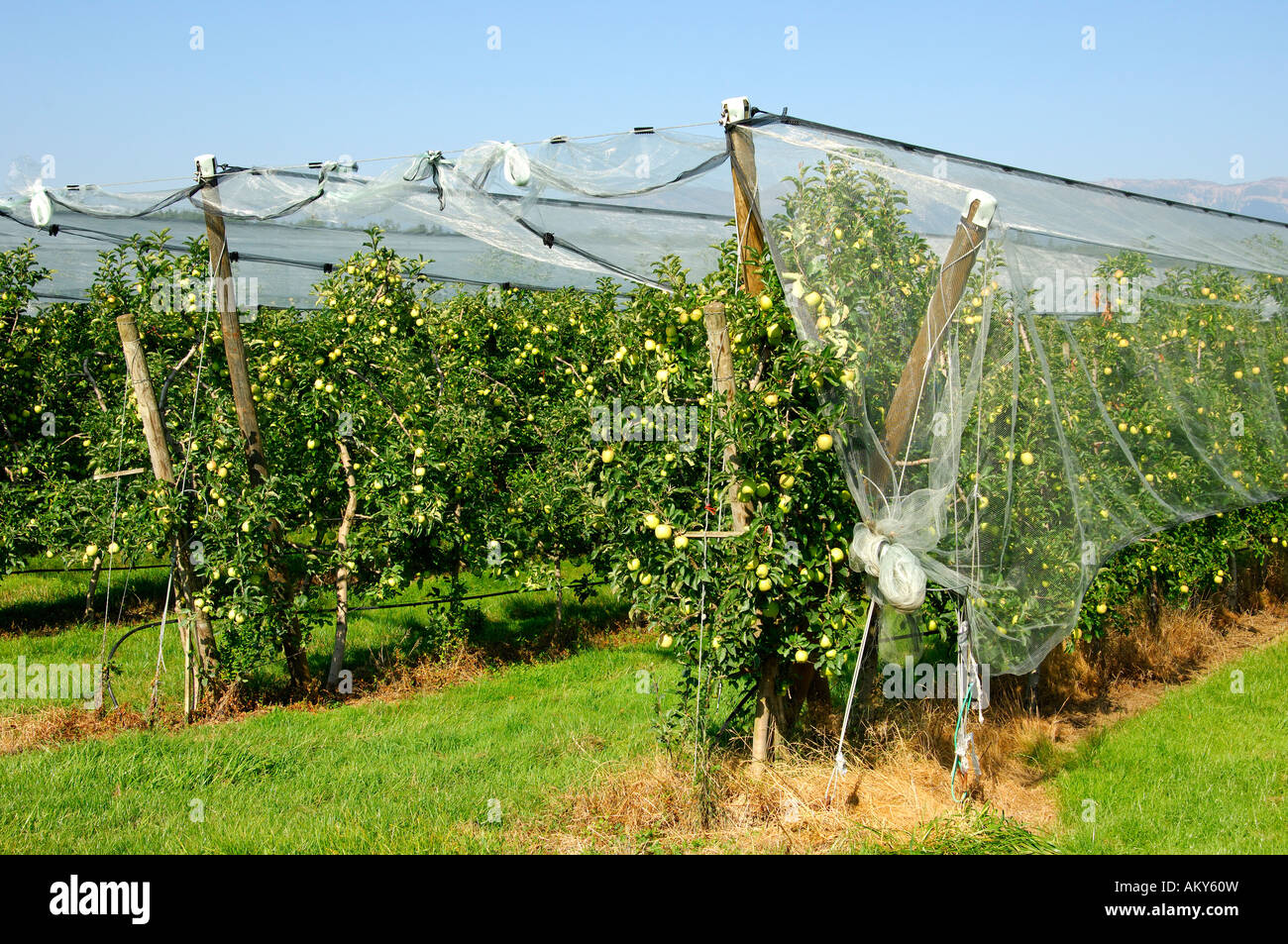 Gaertnerei schutz hi-res stock photography and images - Alamy