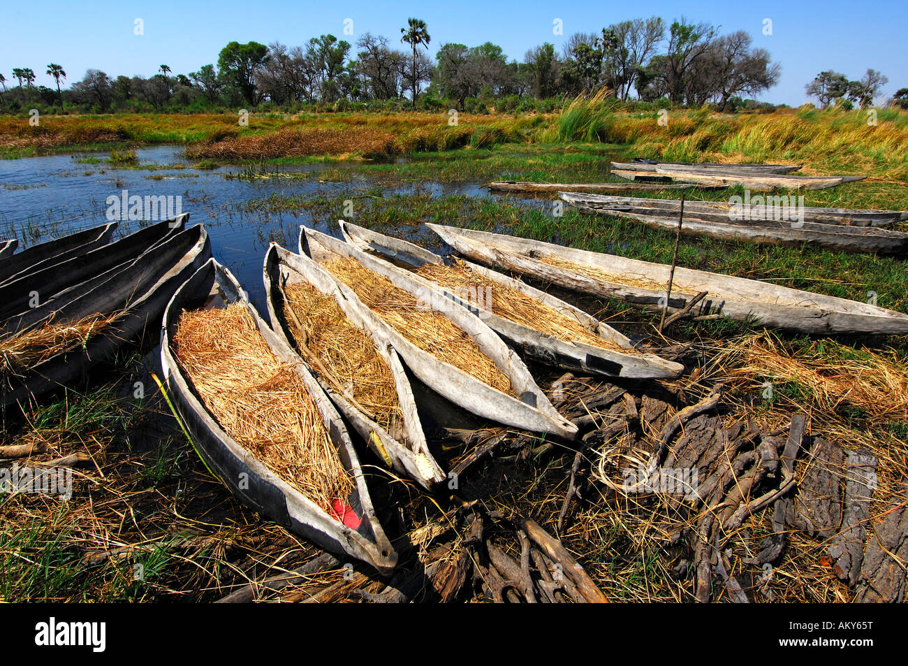 Dugout Canoe High Resolution Stock Photography and Images - Alamy