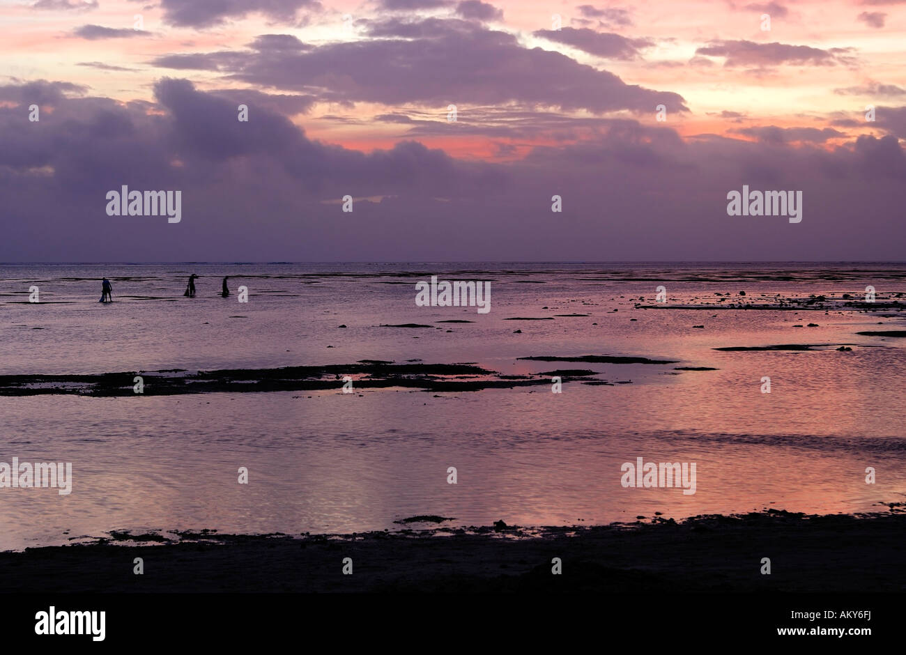 Shell collectors during low tide in the sea, Mauritius Stock Photo - Alamy