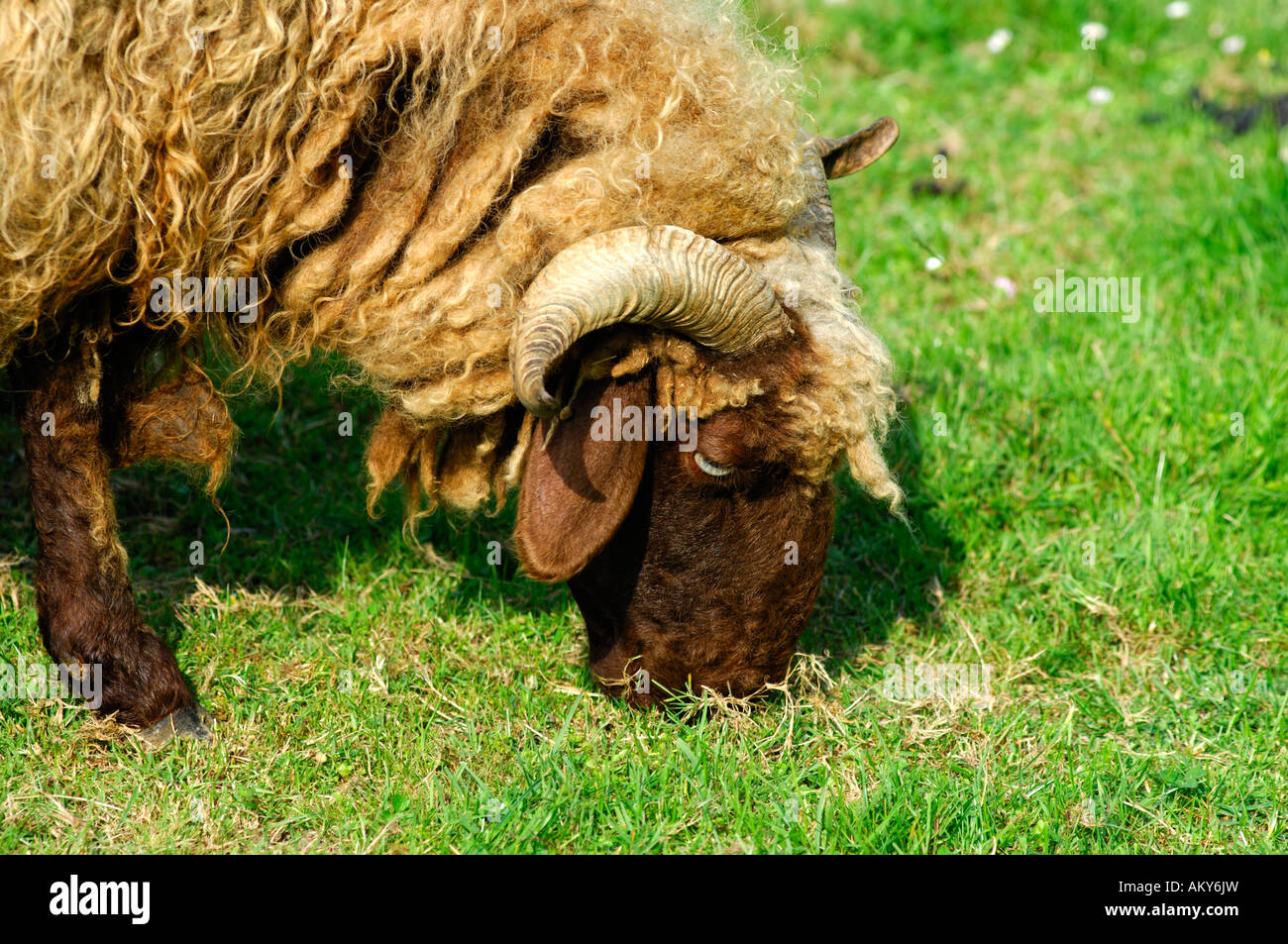 Walliser landschaf hi-res stock photography and images - Alamy