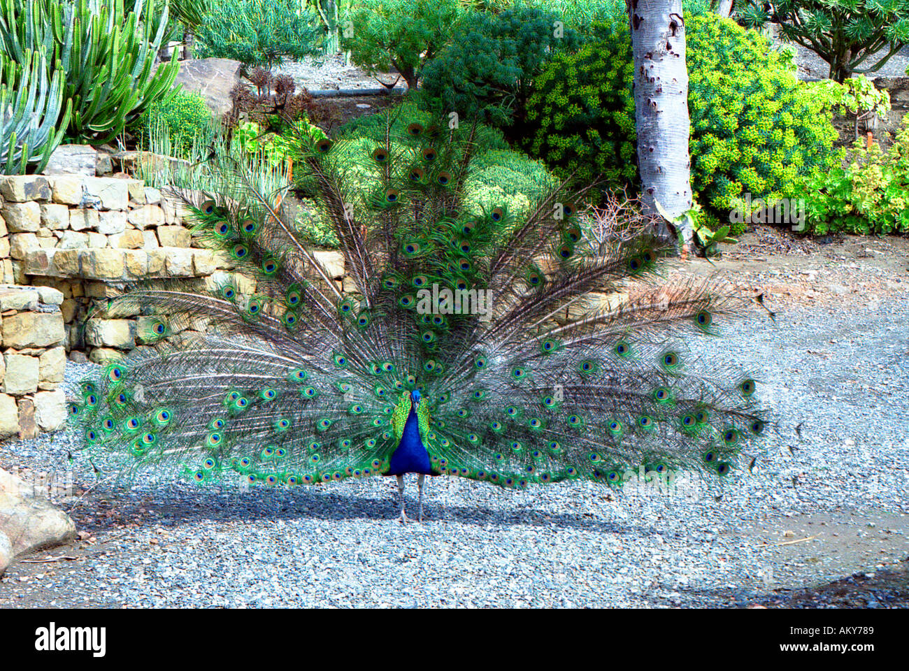 Parque de la paloma hi-res stock photography and images - Alamy