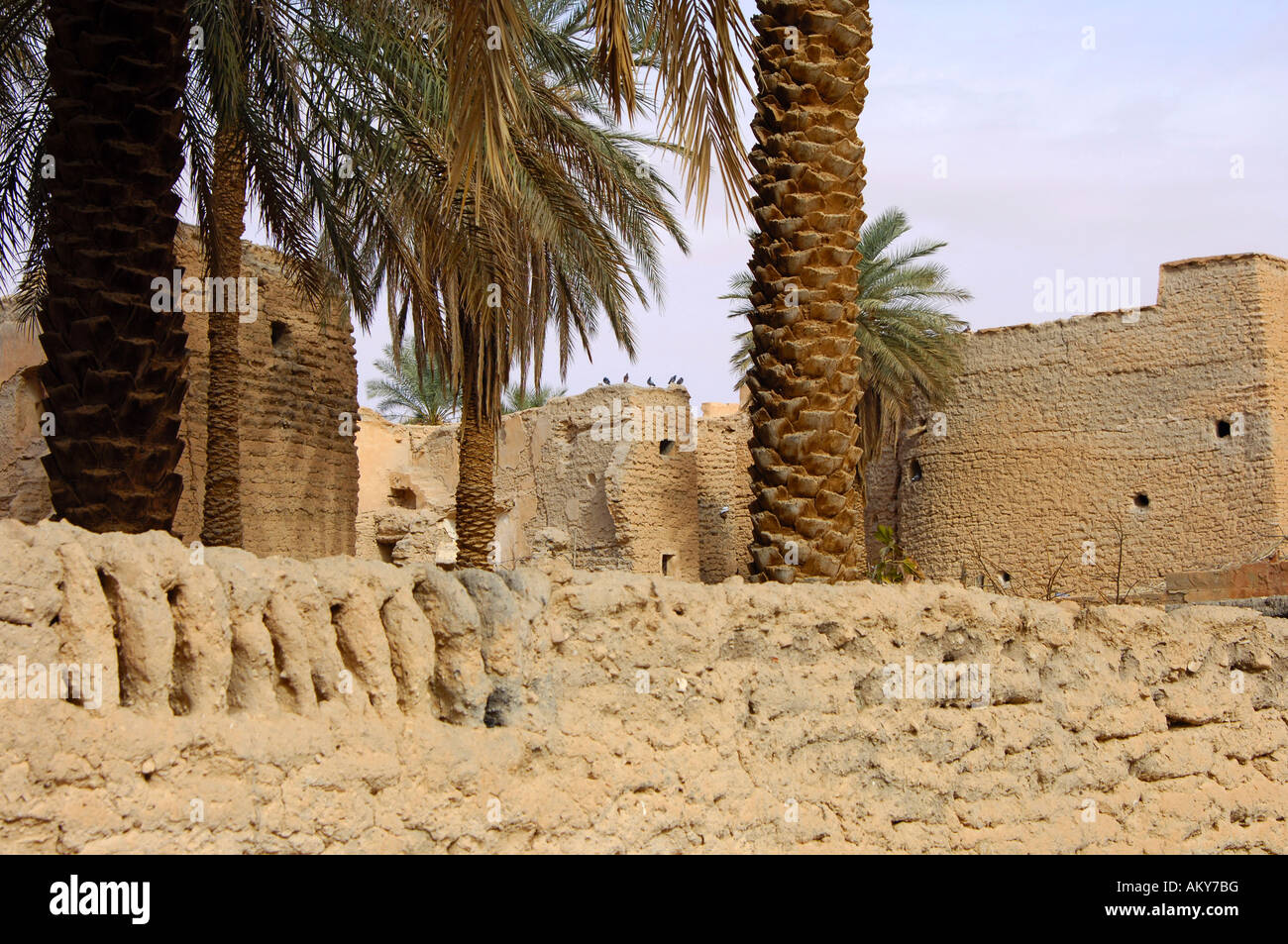Traditional house with palm garden, Ghadames, UNESCO world heritage ...