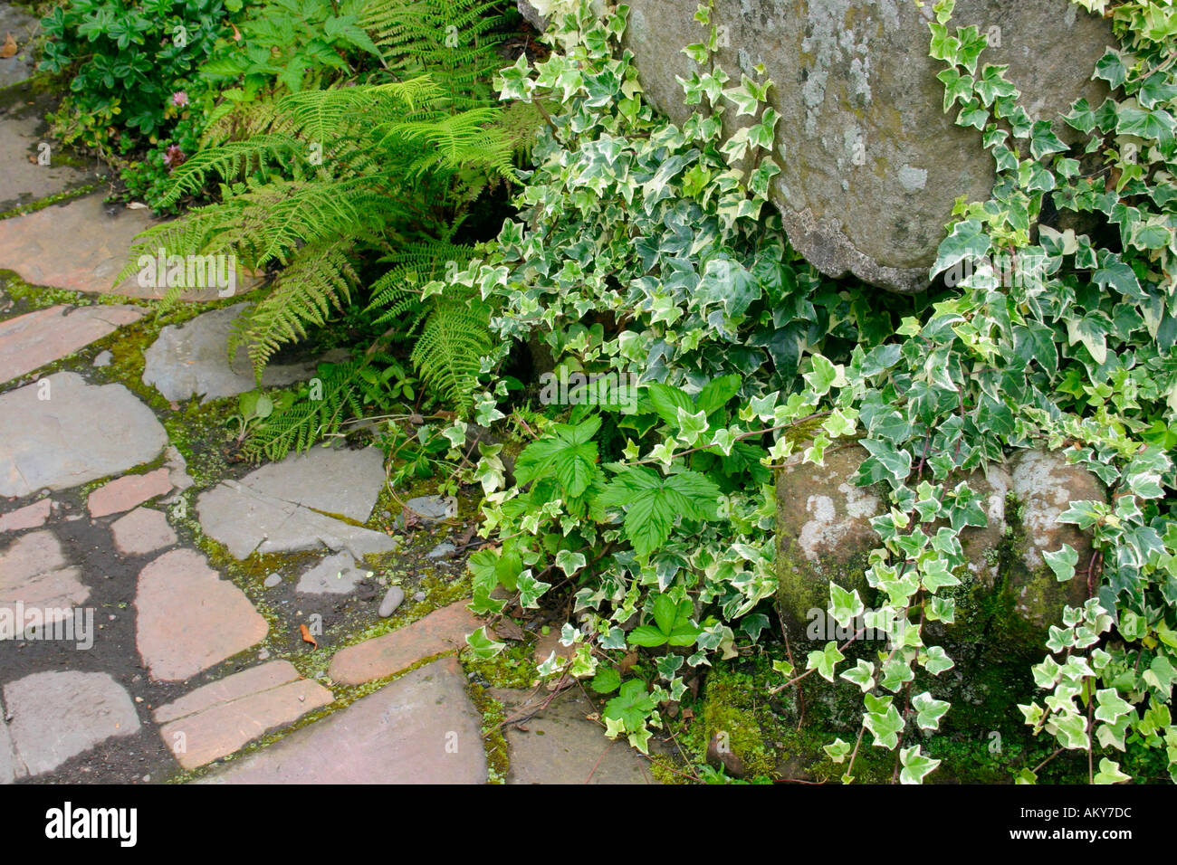 Crazy paving path pathway hi-res stock photography and images - Alamy