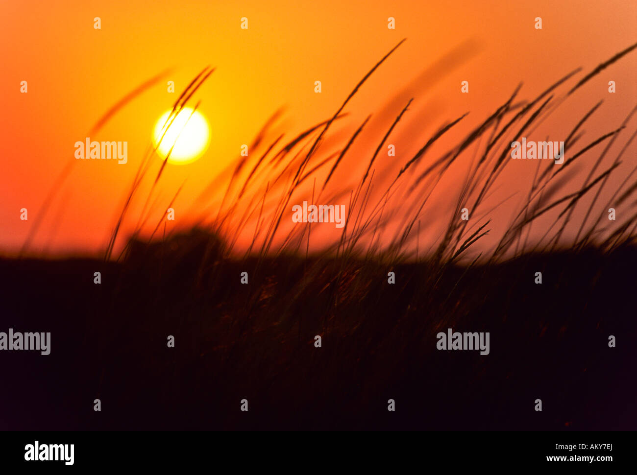 Griechenland umriss hi-res stock photography and images - Alamy