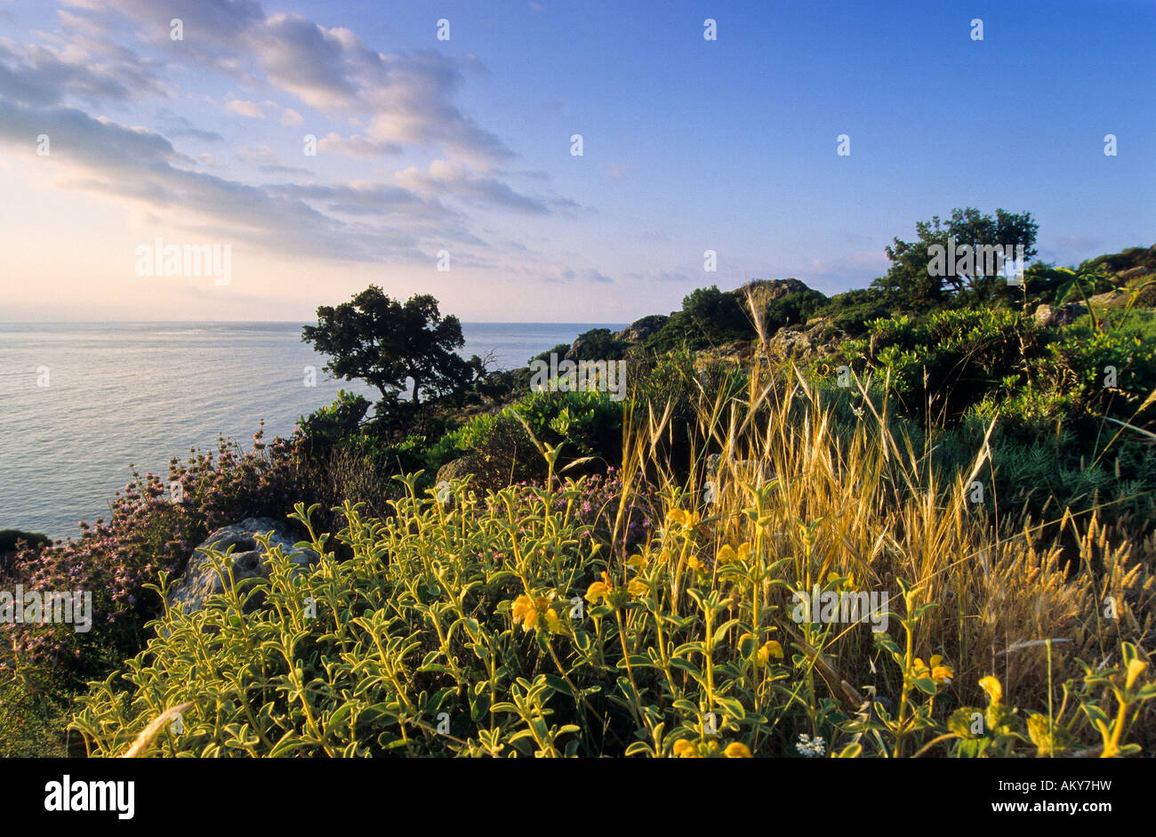 Gallini hi-res stock photography and images - Alamy