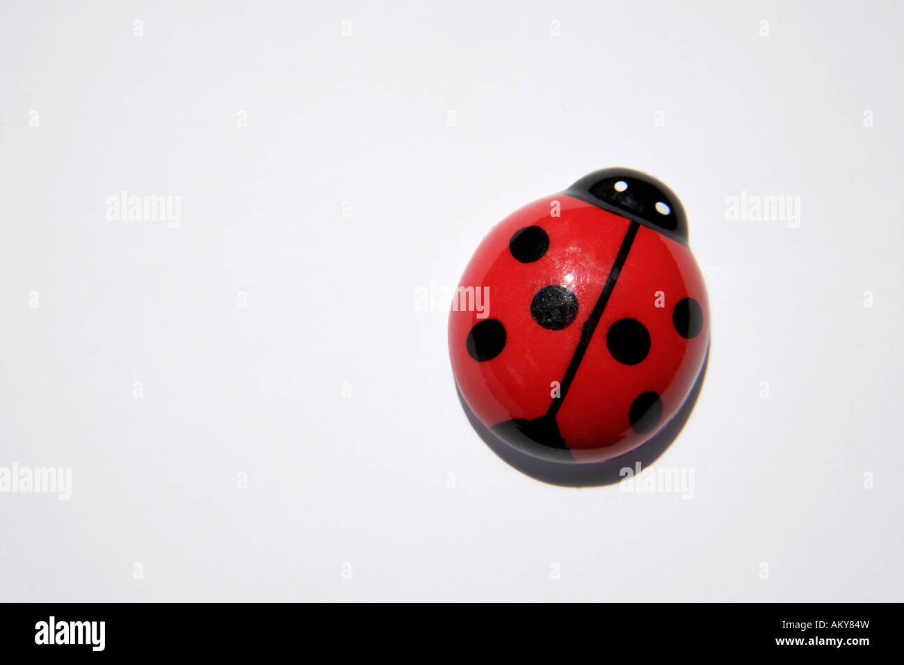 Ladybug from above hi-res stock photography and images - Alamy
