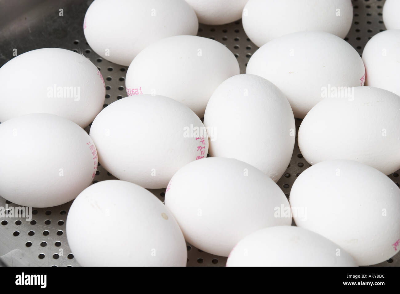 Frogspawn white hi-res stock photography and images - Alamy