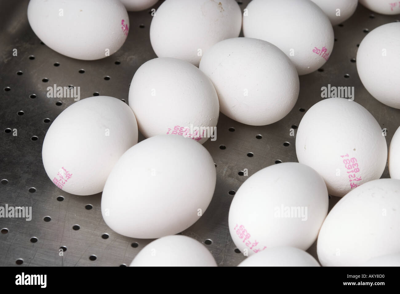 Frogspawn white hi-res stock photography and images - Alamy