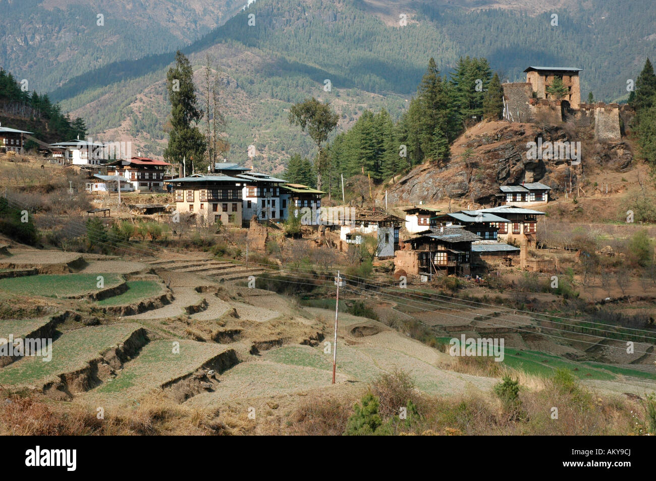 Bhutan, Kingdom, Himalaya, village Stock Photo - Alamy