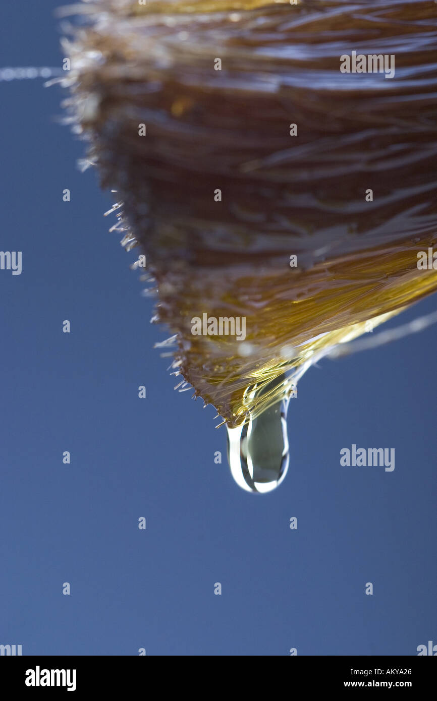 Saturated photographs hi-res stock photography and images - Alamy