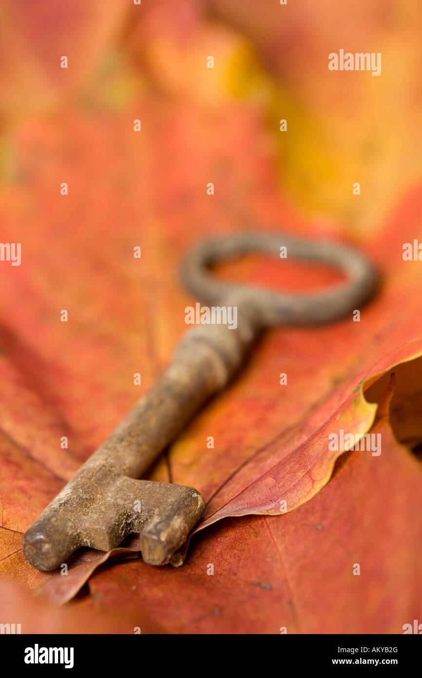 Old Key on leaves Stock Photo - Alamy
