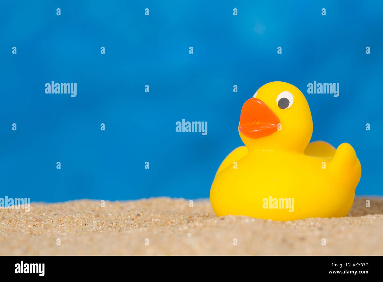 Yellow rubber ducky Stock Photo - Alamy