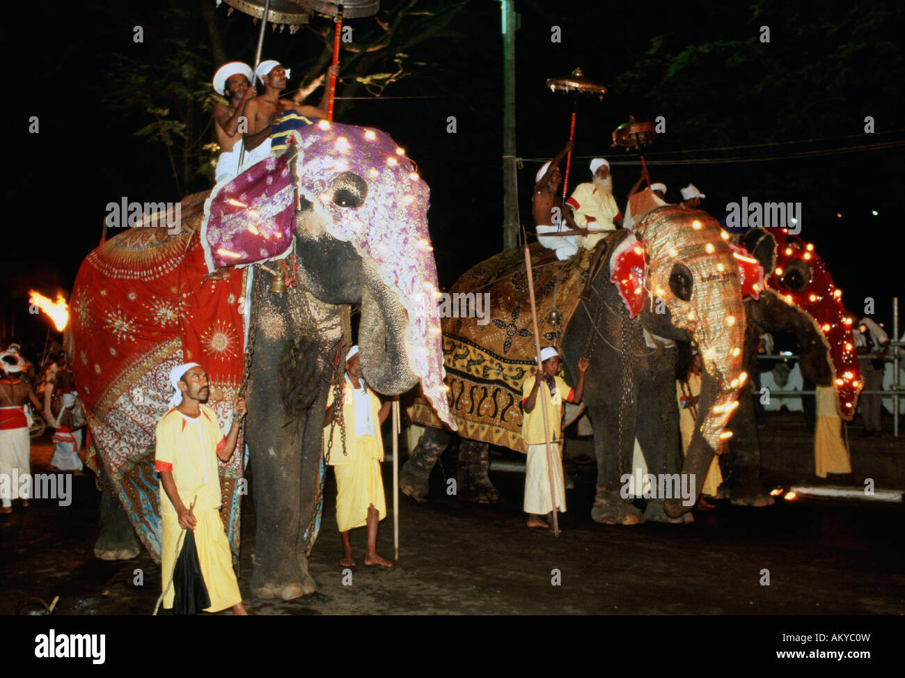 Raja Perahera carnival parade with elephants in illuminated masks and ...
