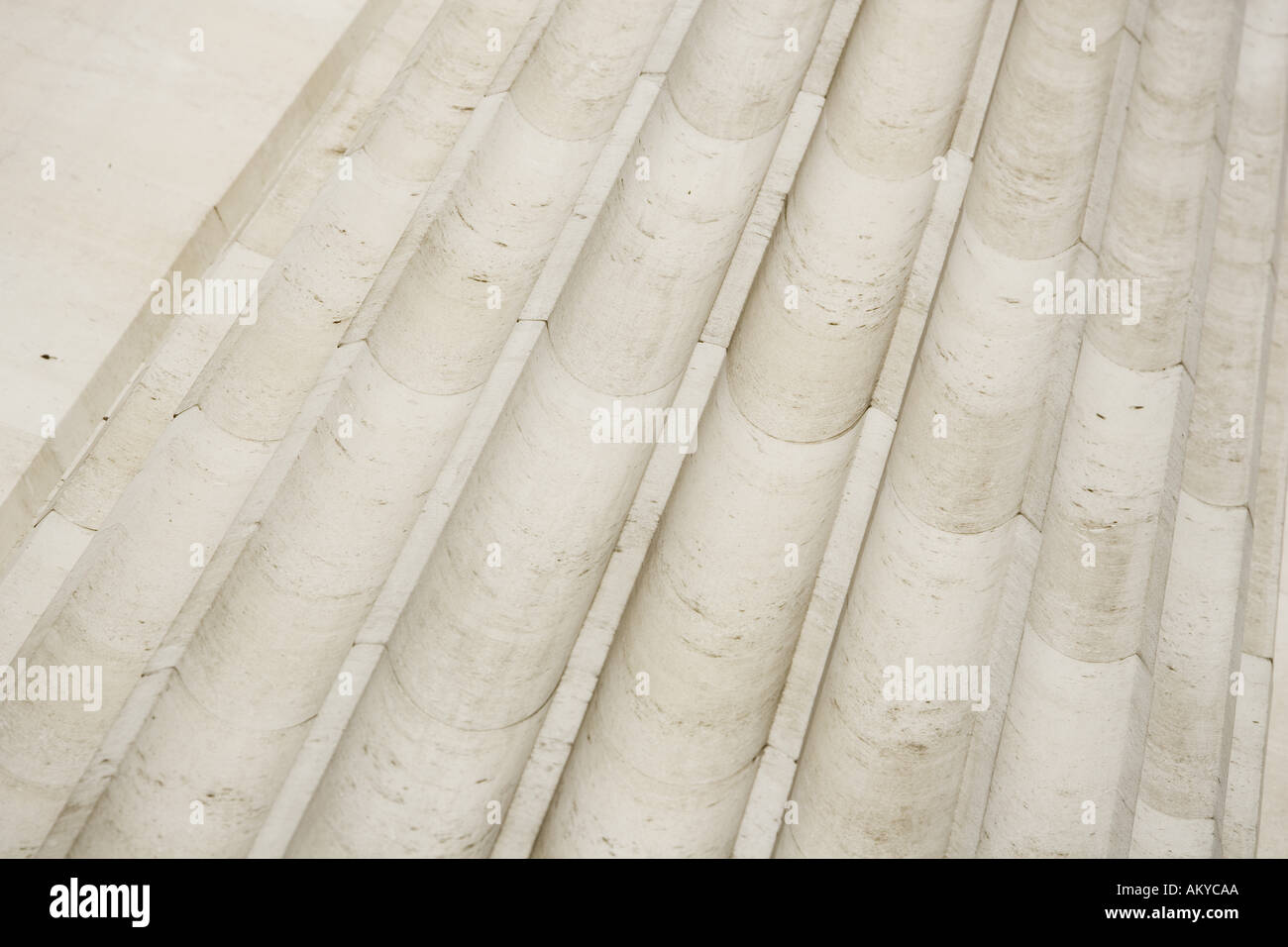 Ornate shell structure hi-res stock photography and images - Alamy