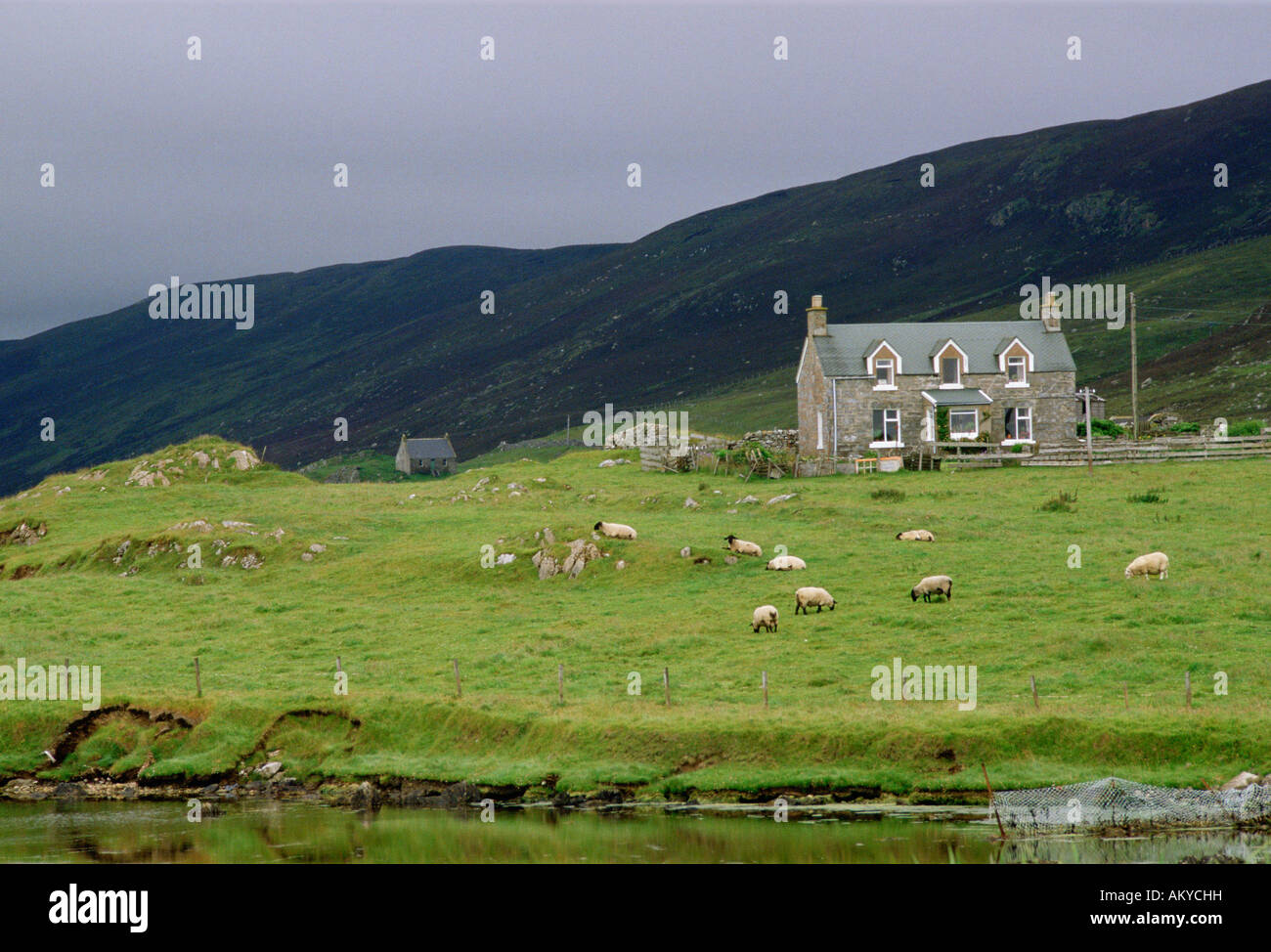 Shetland smallholding farm hi-res stock photography and images - Alamy