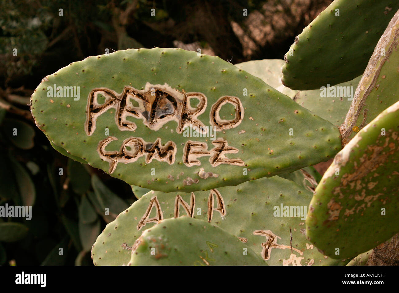 Namenszuge hi-res stock photography and images - Alamy