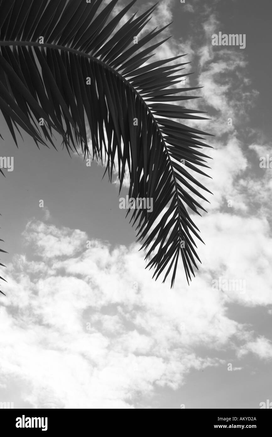 Stock image of clouds Black and White Stock Photos & Images - Alamy
