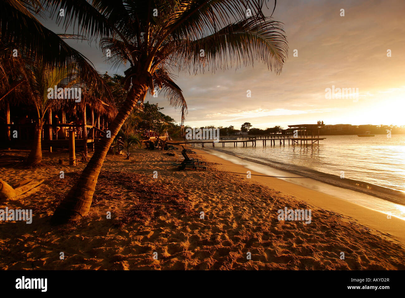 Half Moon Bay, Roatan Island, Honduras Stock Photo - Alamy