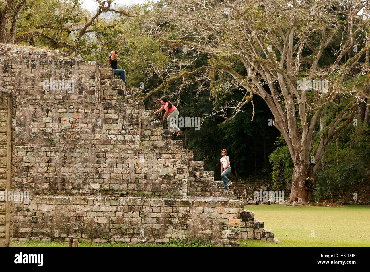 Mayan pyramide, Copan Ruinas, Copan, Honduras Stock Photo - Alamy