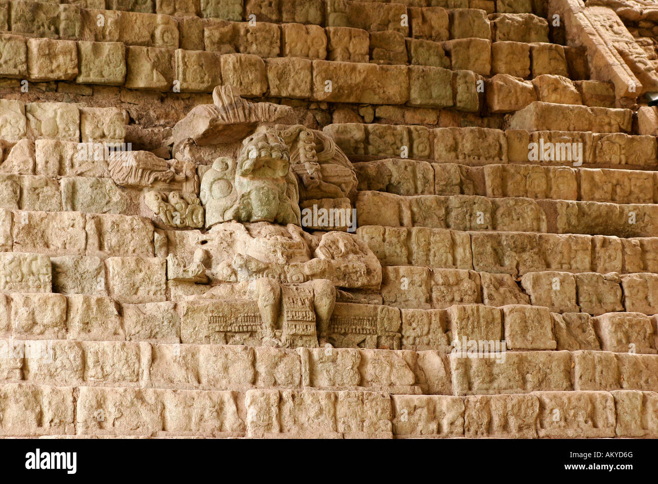 Pyramide, Copan Ruinas, Copan, Honduras Stock Photo - Alamy