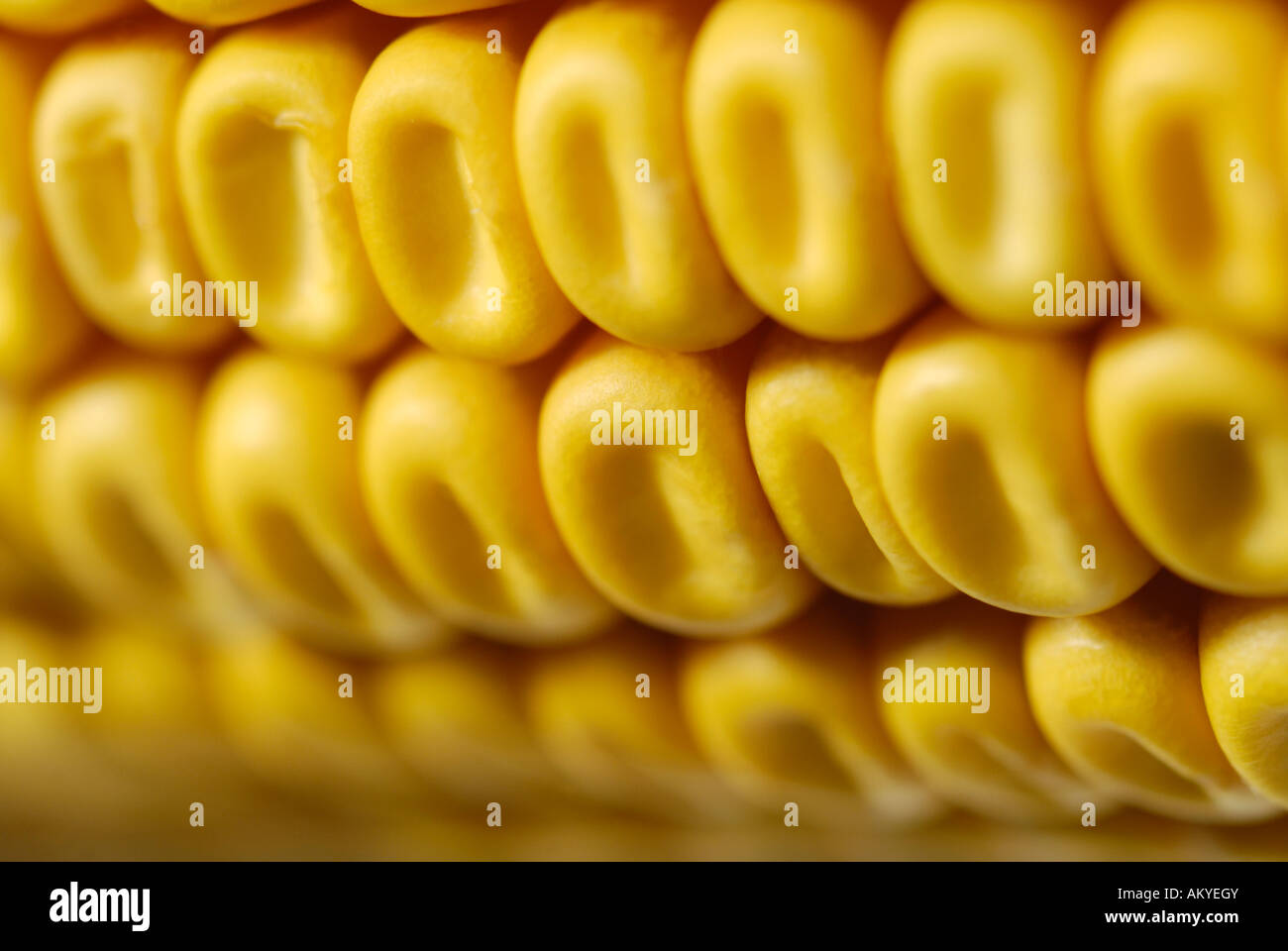 Dent corn hi-res stock photography and images - Alamy