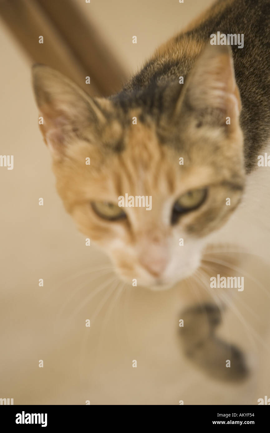 Pooled money hi-res stock photography and images - Alamy