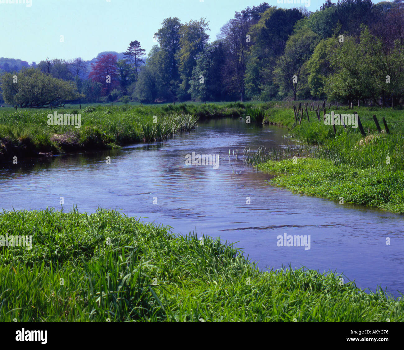River Meon at Brockenbridge Hampshire England May Stock Photo - Alamy
