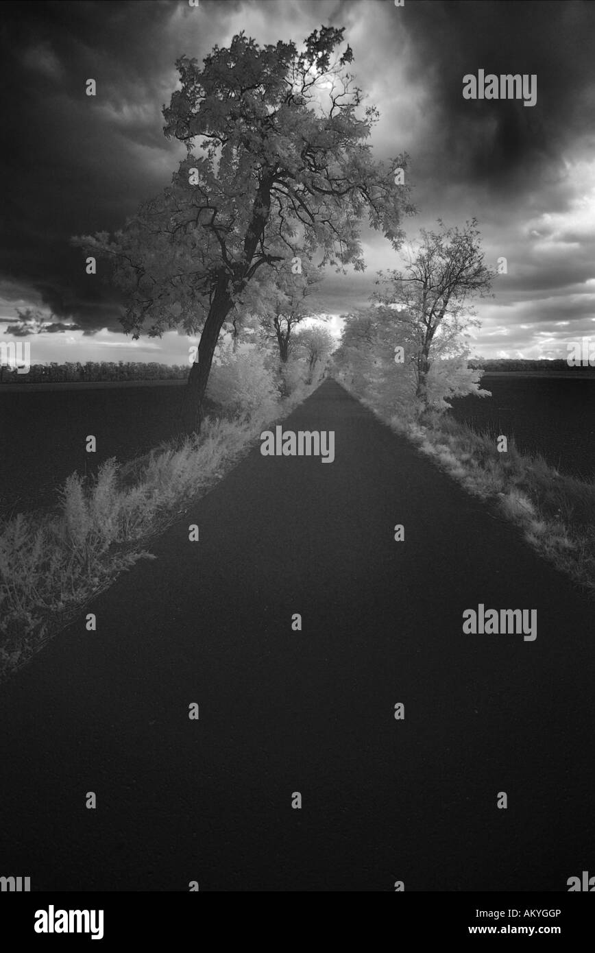 Pfad pfade pfade Black and White Stock Photos & Images - Alamy