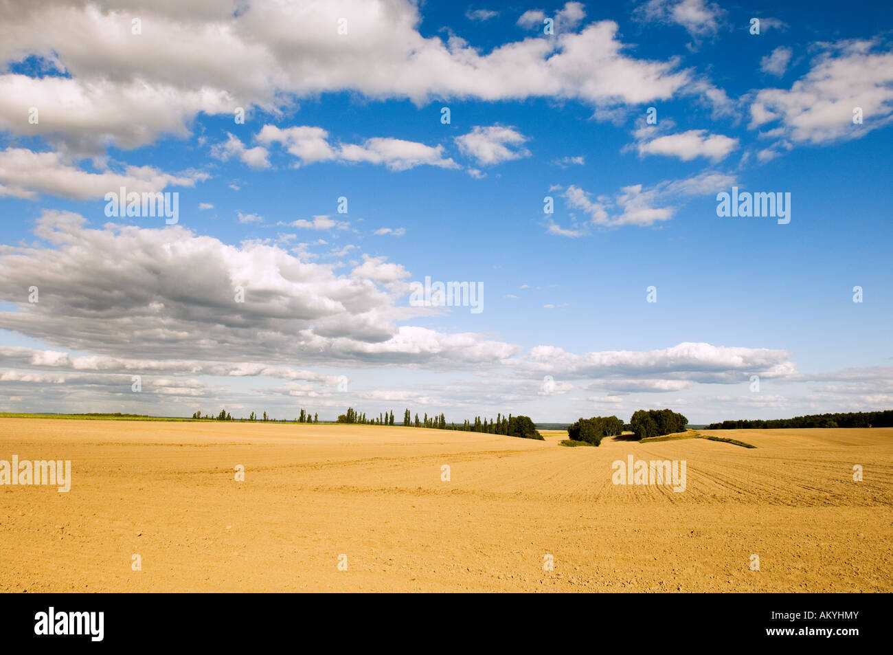 Sky, clouds and sand, plowed field in the late summer in the Flaeming ...