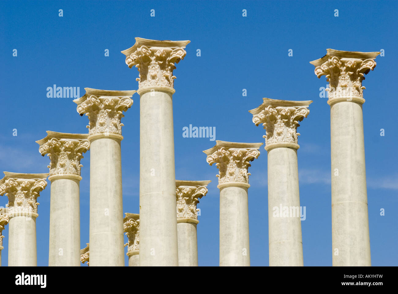 Forum Romanum, Columns of the temple of the Venus and the Roma, Rome ...