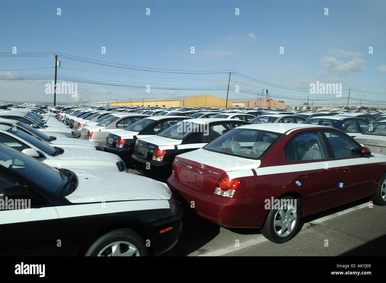 The lot of a densely packed car dealership Stock Photo - Alamy