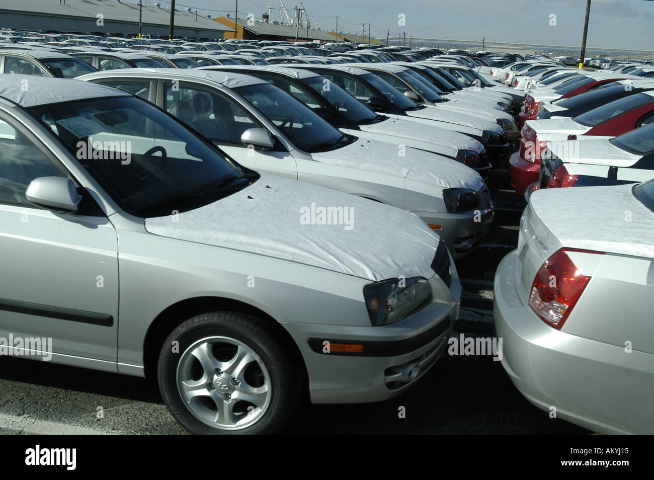 The lot of a densely packed car dealership Stock Photo - Alamy