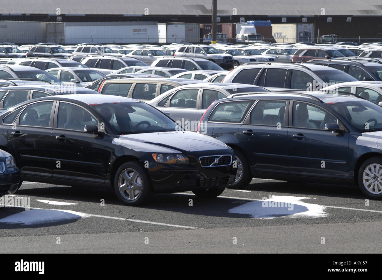 The lot of a densely packed car dealership Stock Photo - Alamy