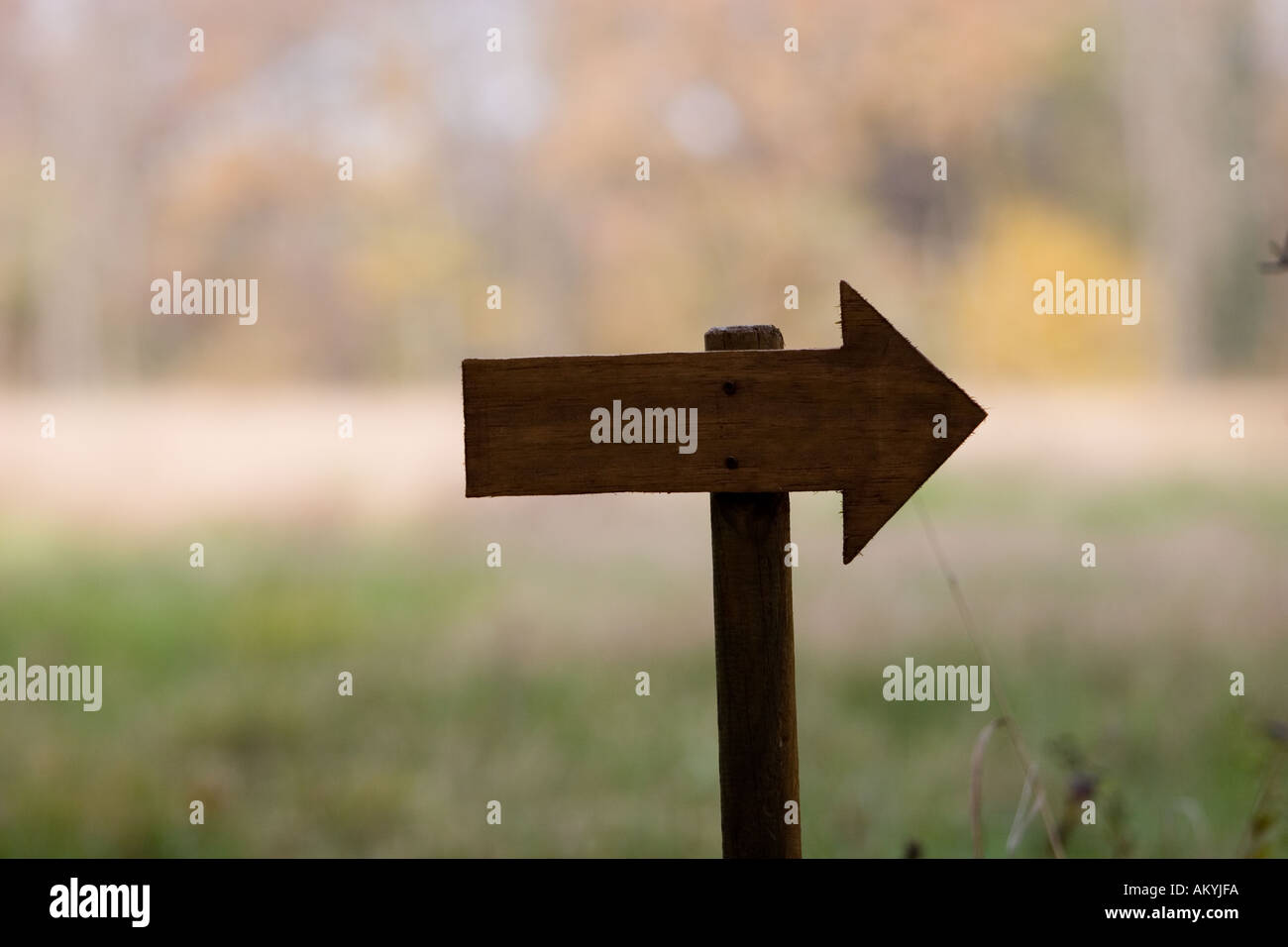 wood direction indication Stock Photo - Alamy