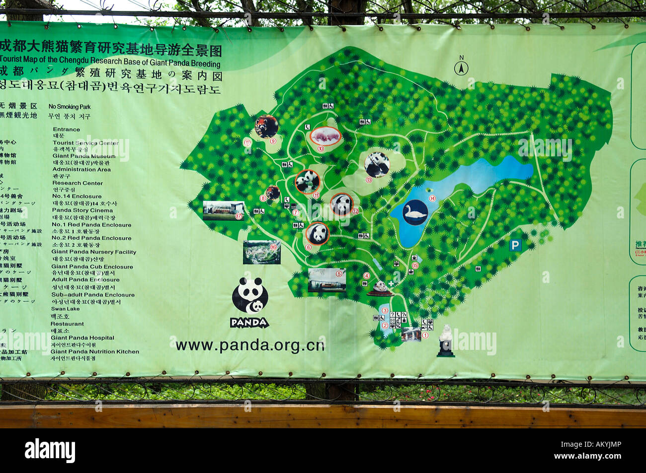 Map, panda breeding station near Chengdu, China, Asia Stock Photo - Alamy