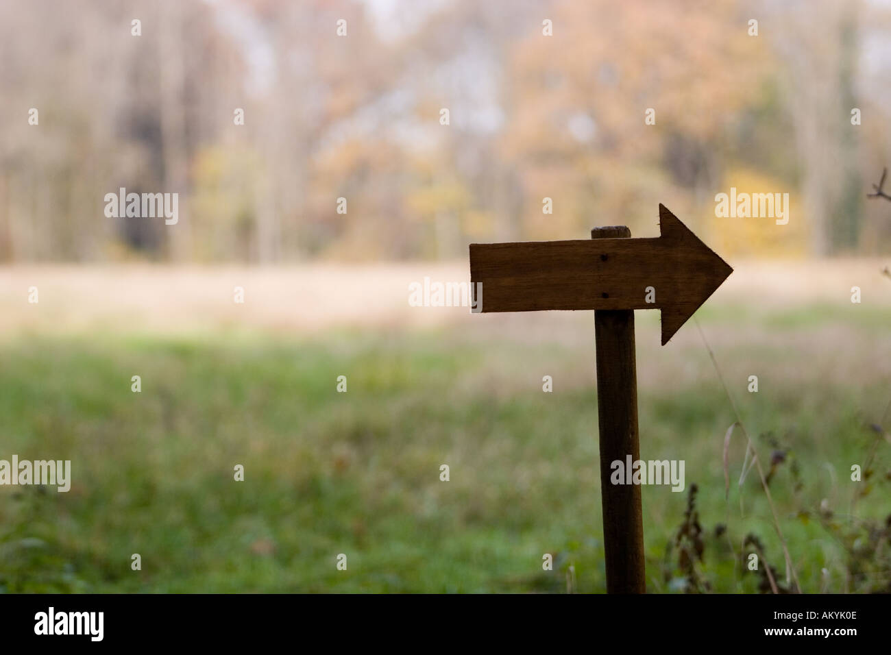 wood direction indication Stock Photo - Alamy