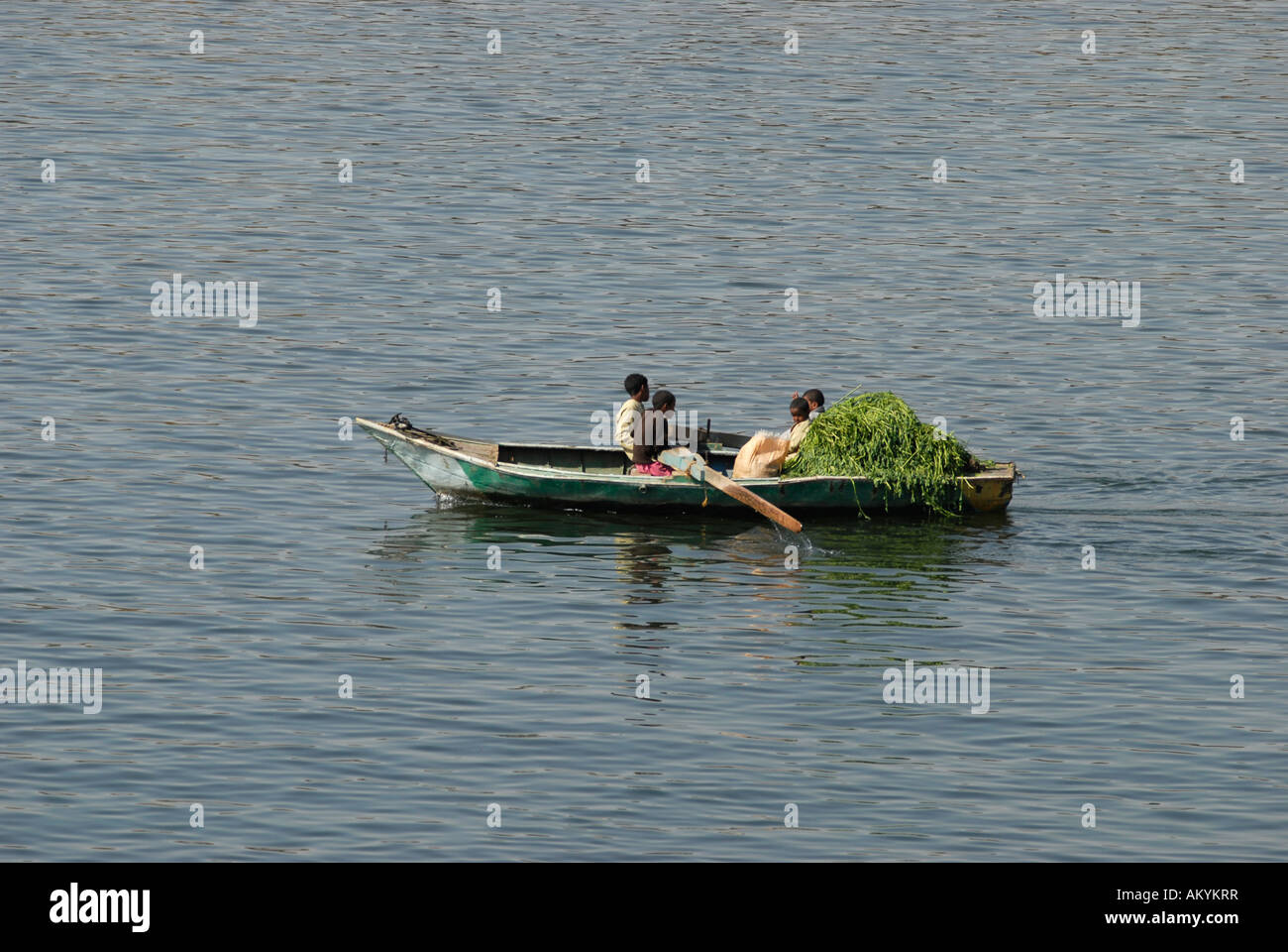 Nile cruise on the Nile River. Cildren carry fodder with a rowboat ...