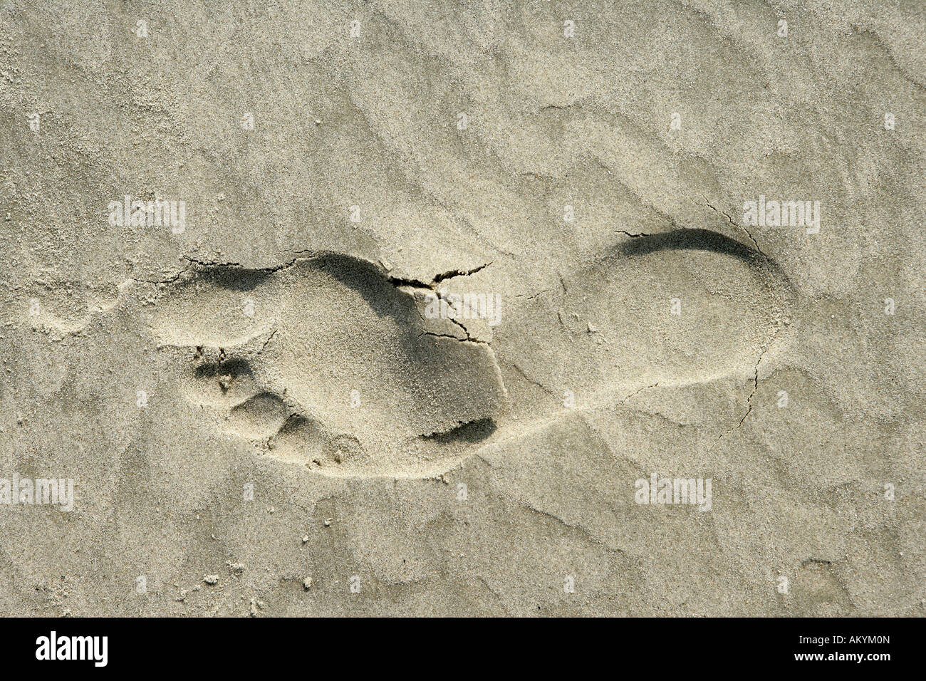Foot print in the sand Stock Photo - Alamy