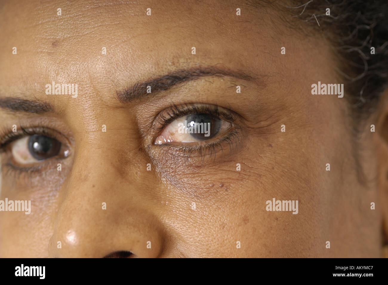 eyes eyebrows sight see vision Stock Photo - Alamy