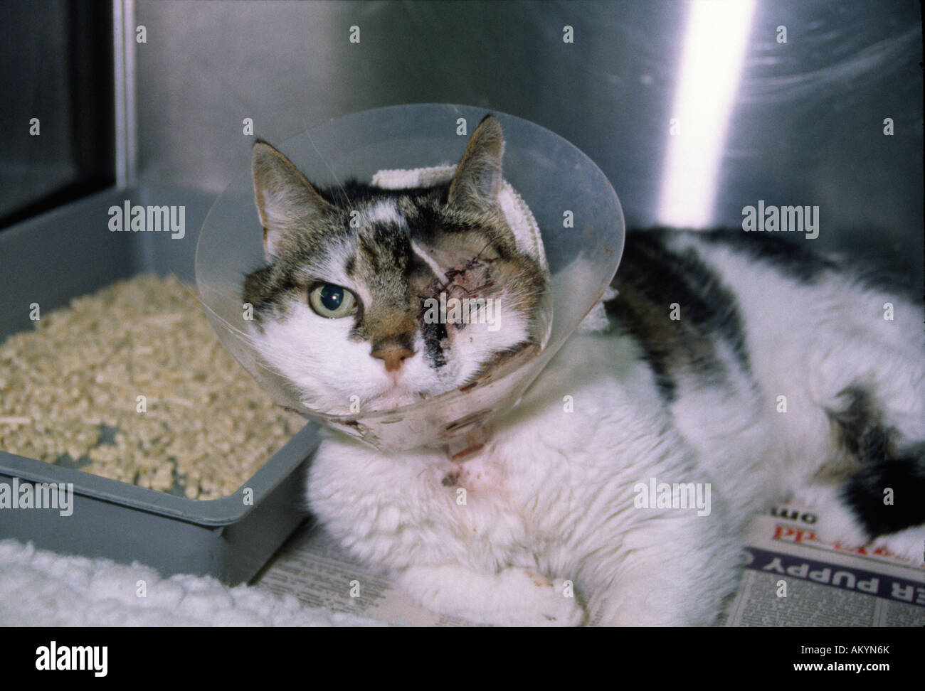 Recovering after operation hi-res stock photography and images - Alamy