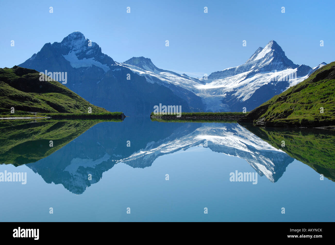 Schreckhorn being reflected in the Bachalpsee, First near Grindelwald ...