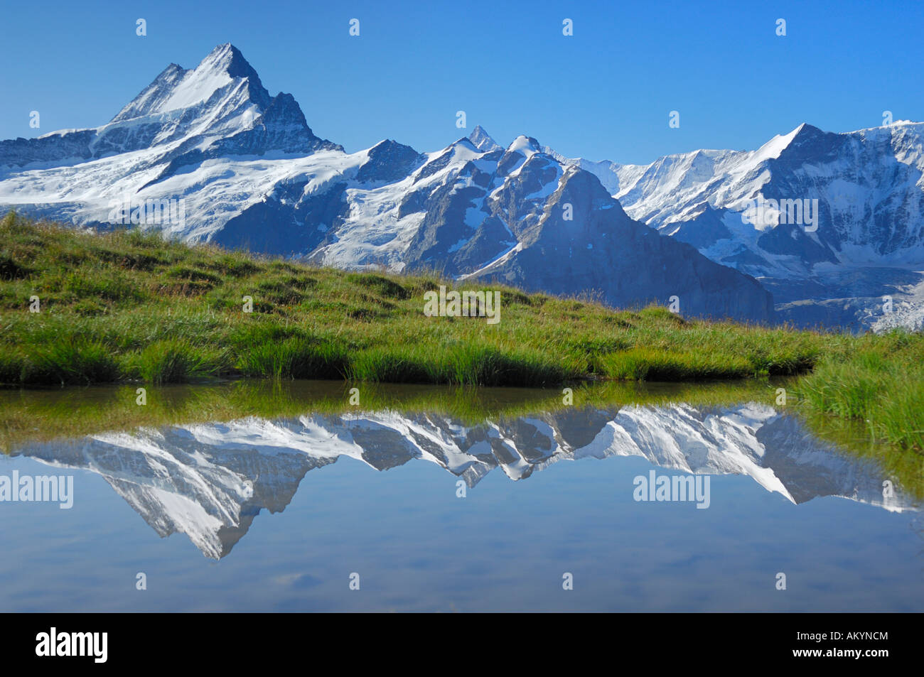 Schreckhorn being reflected in the Bachalpsee, First near Grindelwald ...