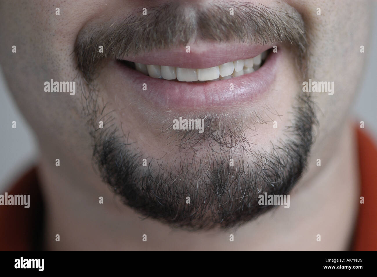 Mustache facial hair hi-res stock photography and images - Alamy