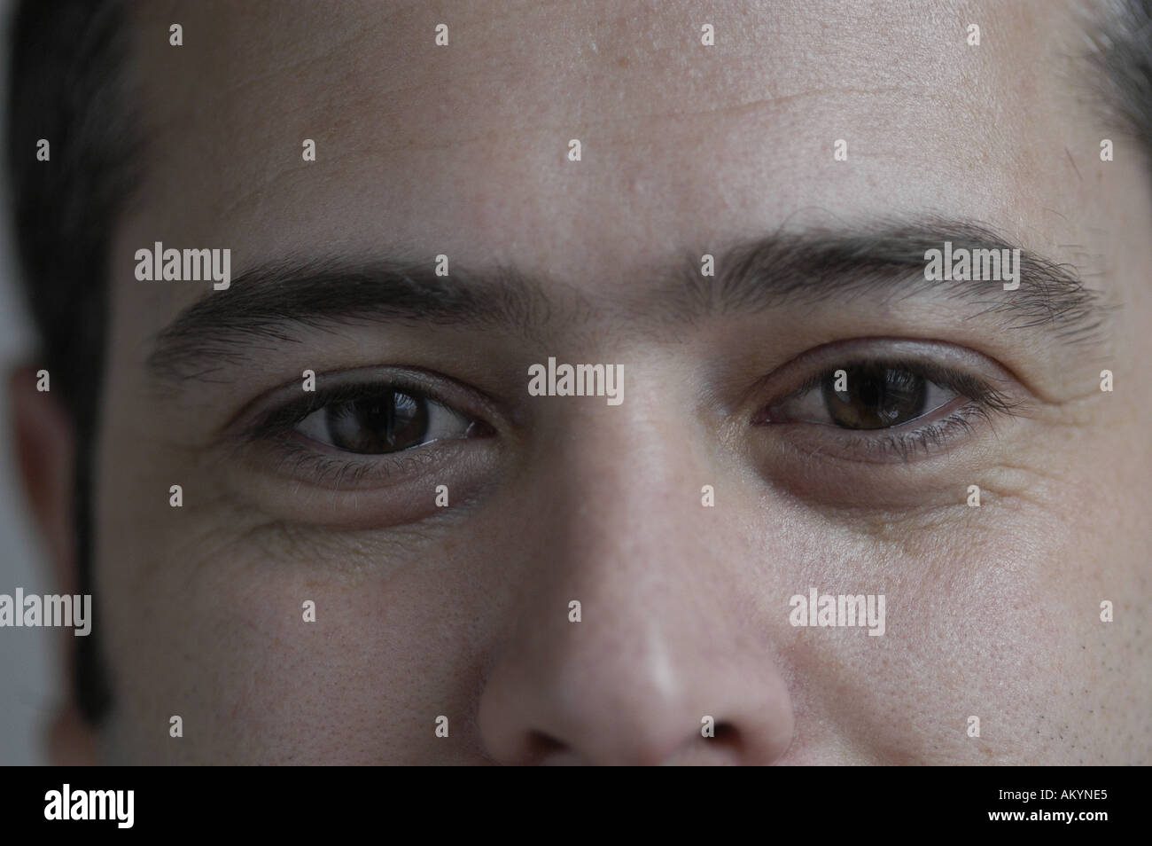 man male eyes eyebrow monobrow forehead vision sight see ocular ...