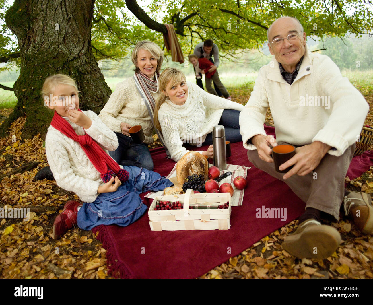 Grandmother mother daughter picnic basket hi-res stock photography and ...