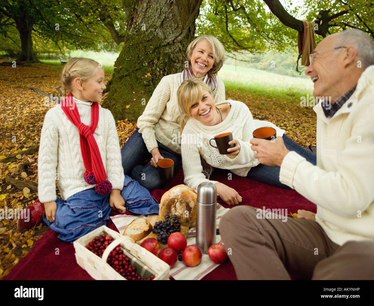 Grandmother mother daughter picnic basket hi-res stock photography and ...
